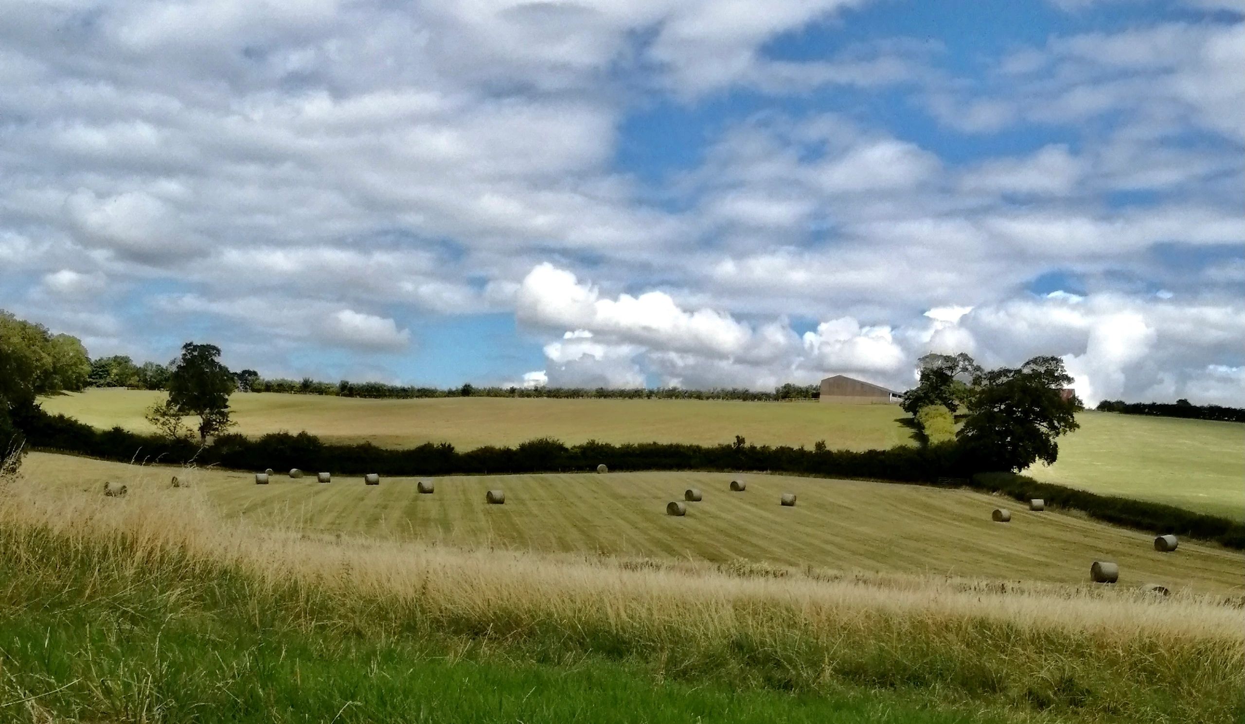 Contact us | Sunnyfield culworth campsite