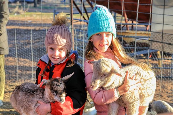 Farm Stay - Lightning Ridge Carinya Station