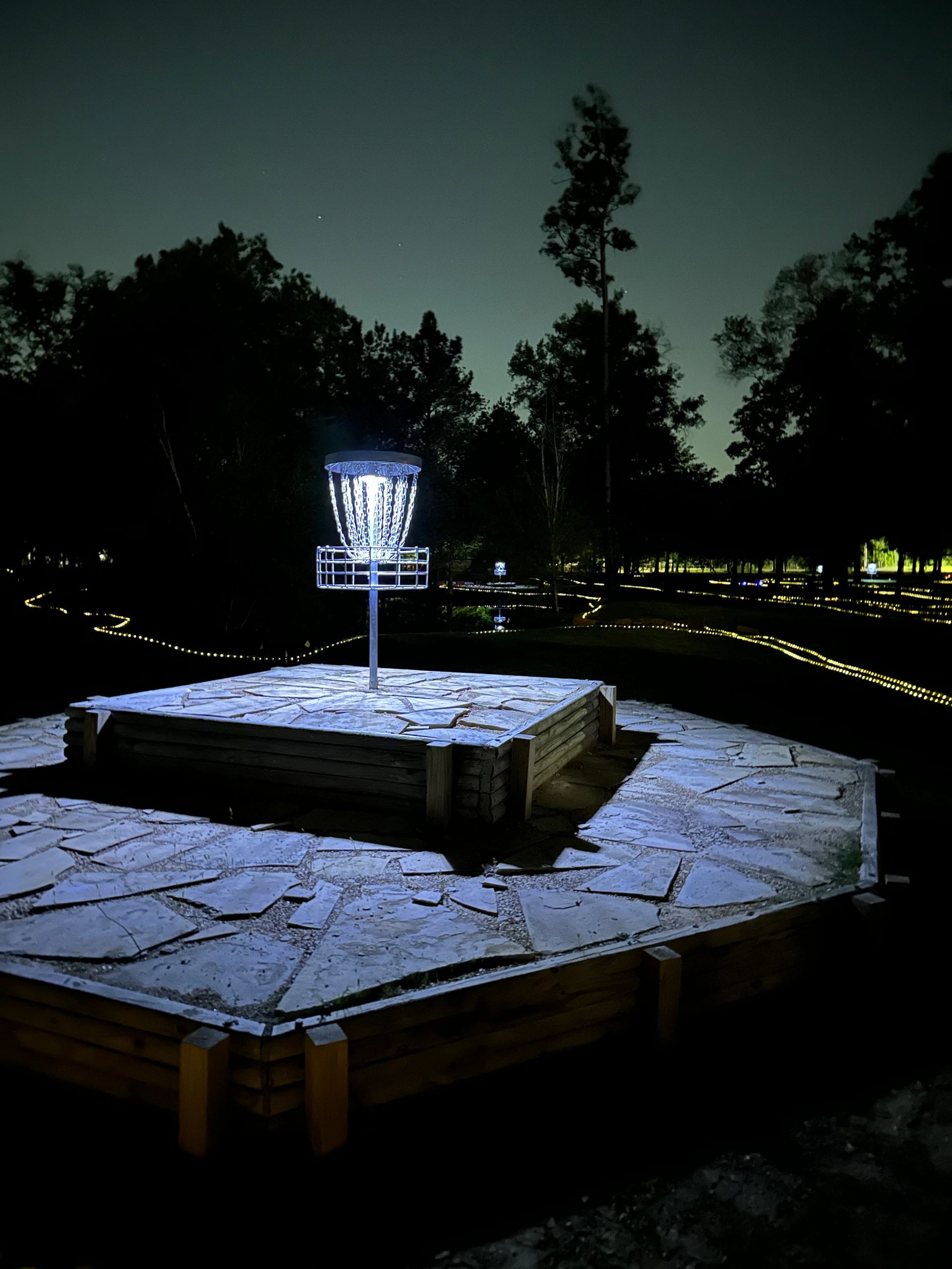 DISC IN THE DARK - Glow Disc Golf Light, Basket Lights