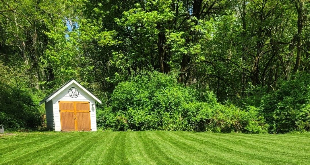 Professional Tree Service & Landscaping Solutions