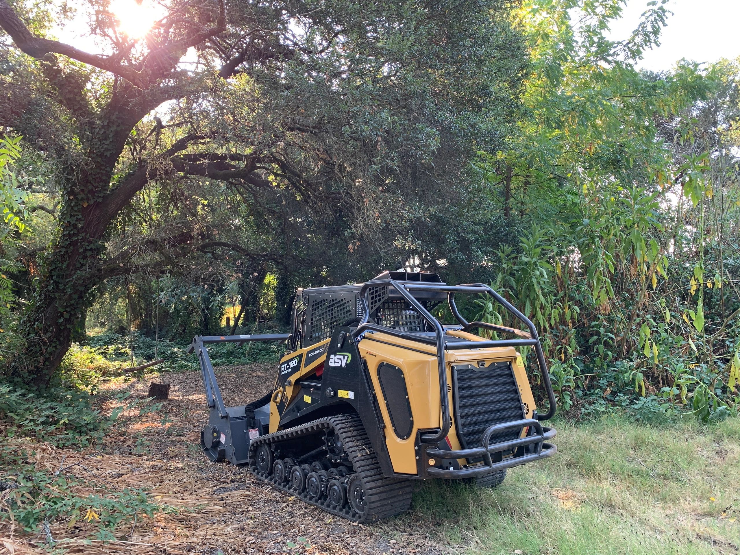 Brush Hog Tree Care LLC