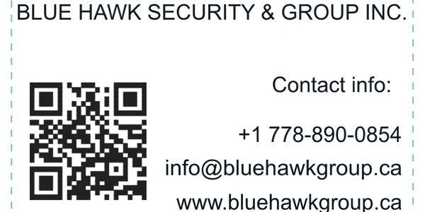 Blue Hawk Security