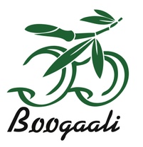 The Frames | Boogaali Bikes Uganda Limited