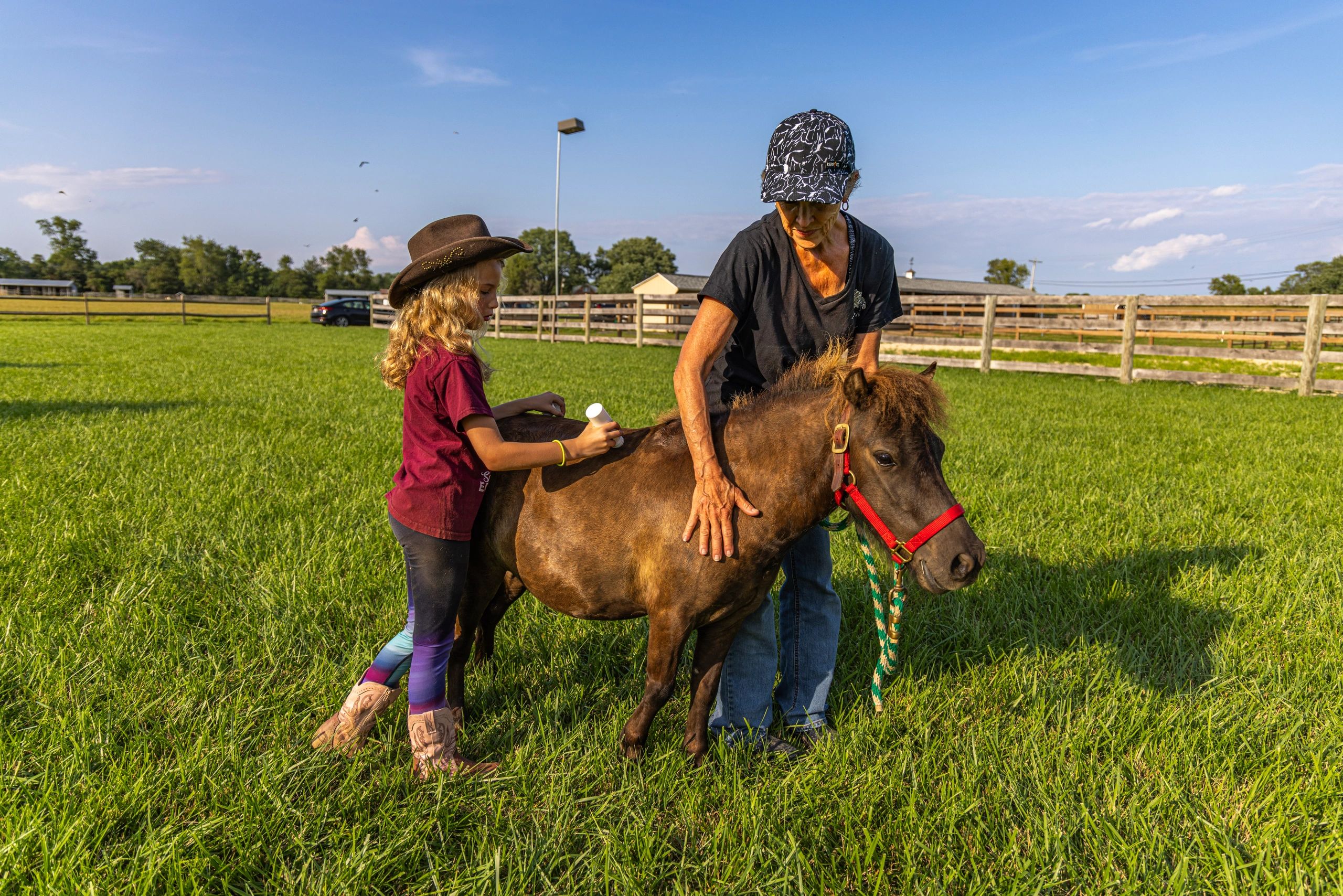 🐴Horse Miracle Workers | Southern Maryland Equine Miracles Rescue