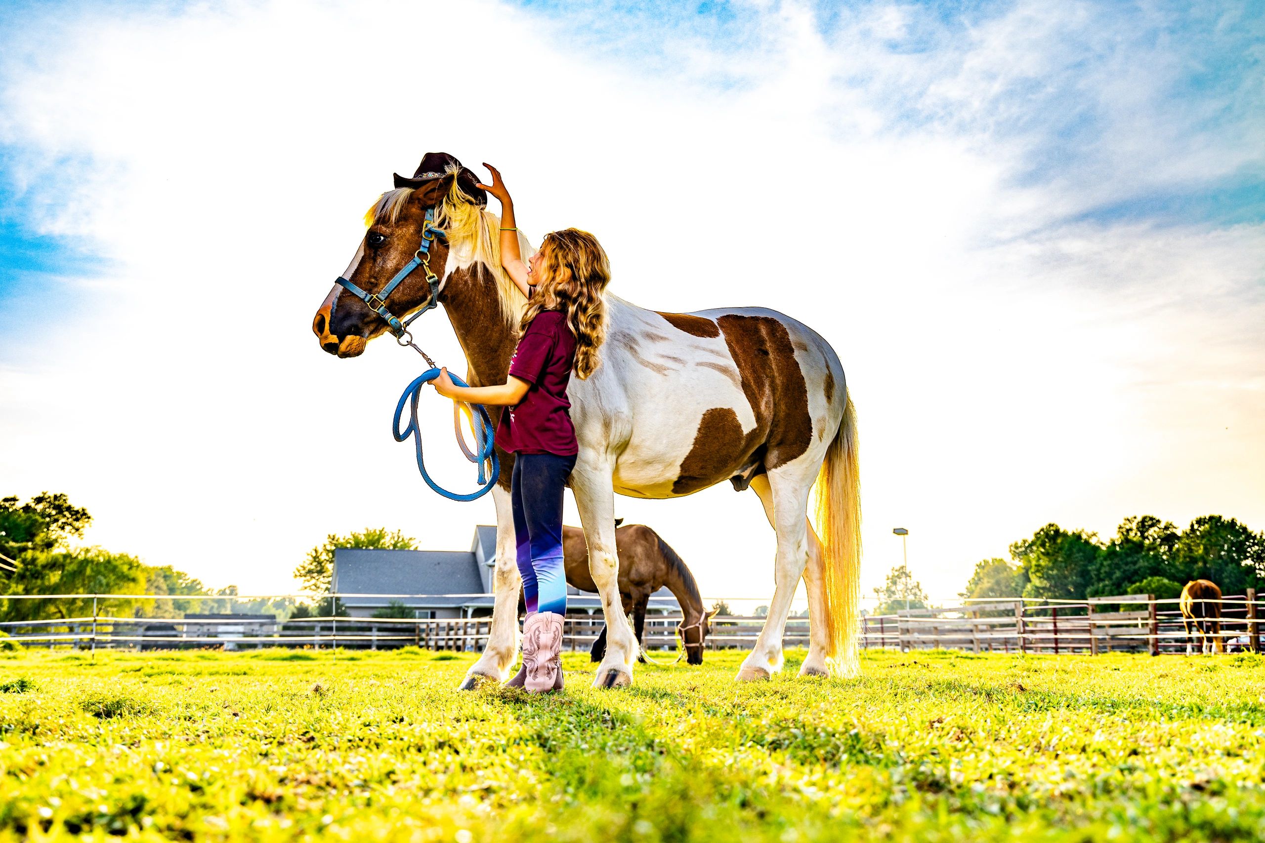 Horse Rescue - Southern Maryland Equine Miracles Rescue