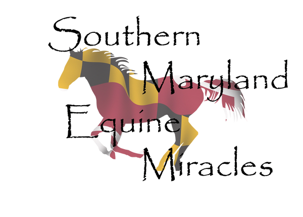 🐴Horse Miracle Workers | Southern Maryland Equine Miracles Rescue