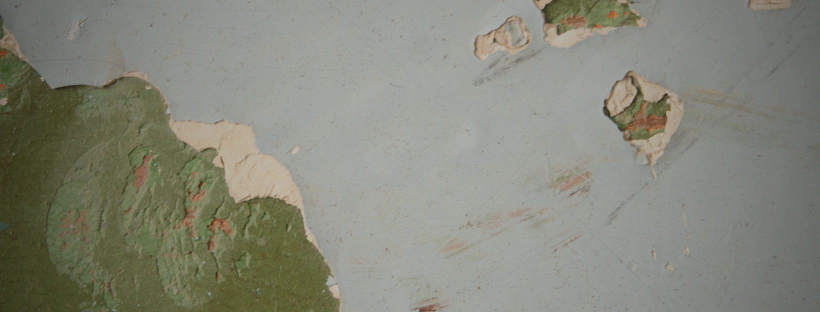 Modest Brewing Company