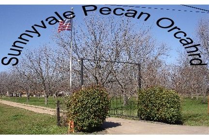 Home Page [e-pecan.org]
