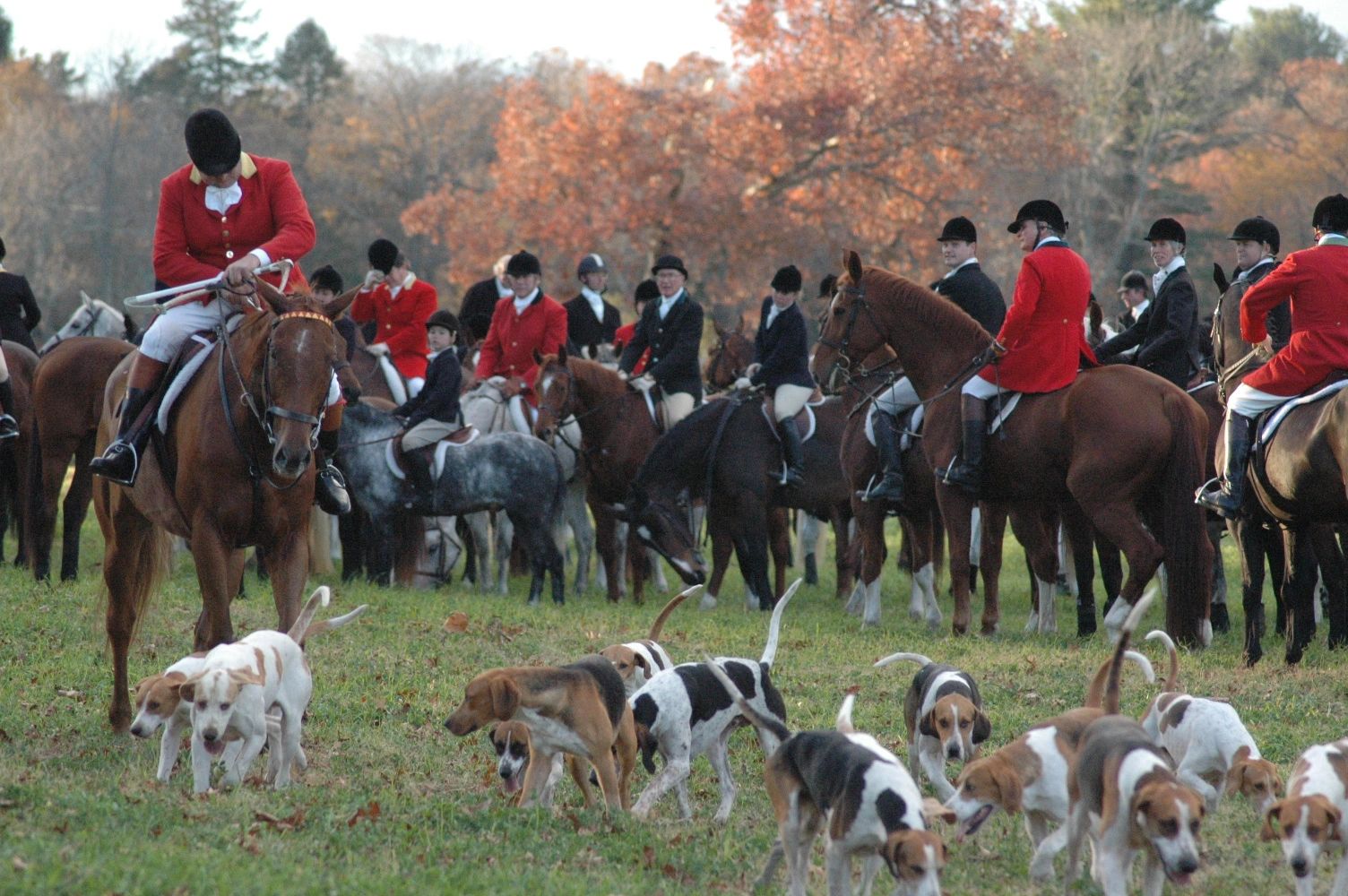 Myopia Hunt Photographs