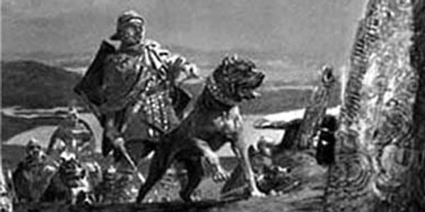 American Sentinel K9, LLC - Bandog, Bandogge | American Sentinel K9, LLC