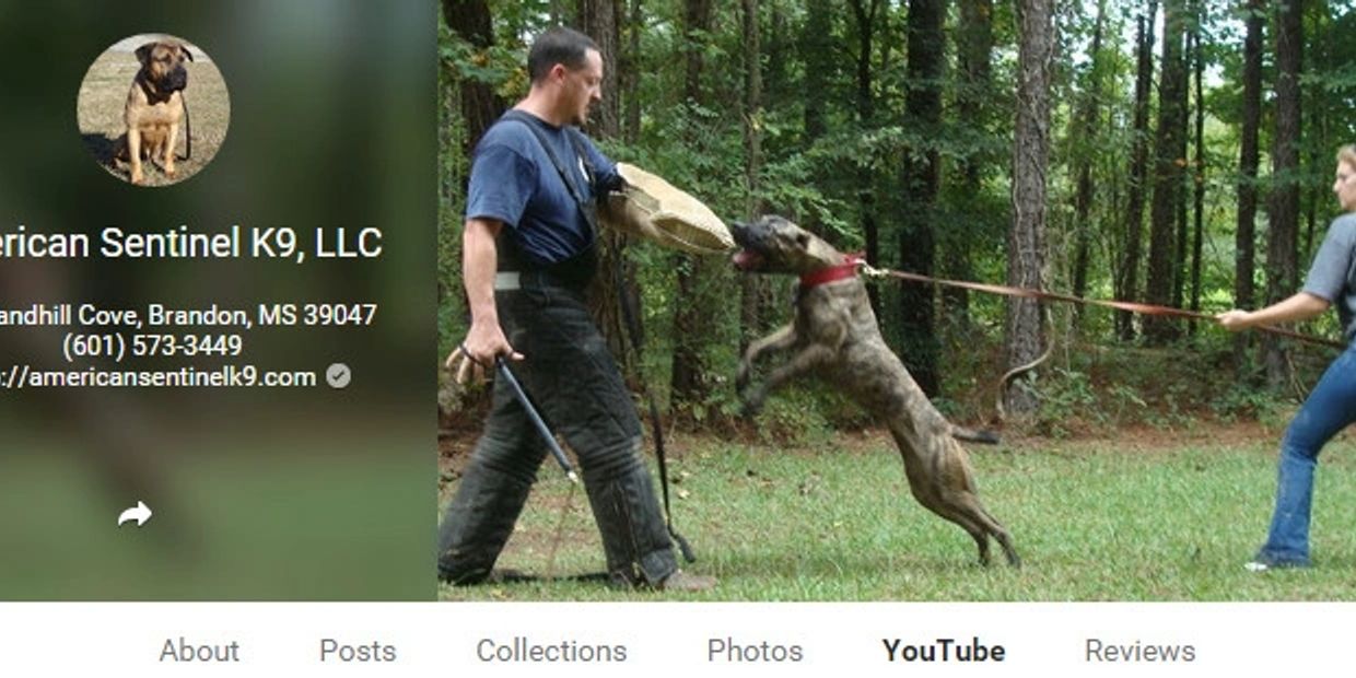 Protection Bandogs by ASC | American Sentinel K9, LLC