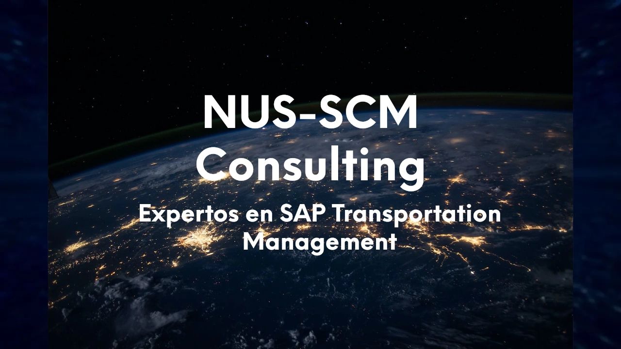 NUS -SCM CONSULTING