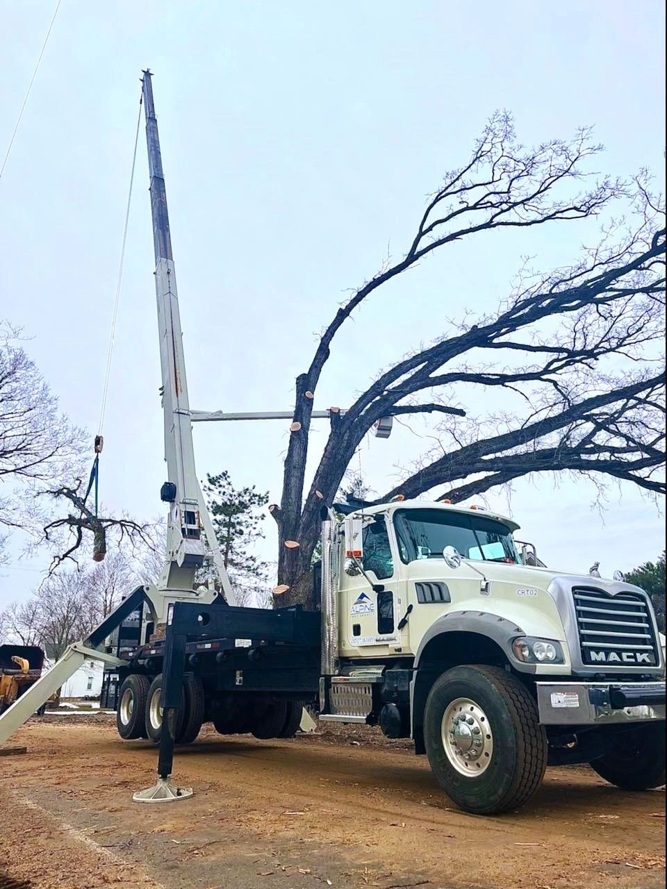 About | Alpine Tree Service LLC