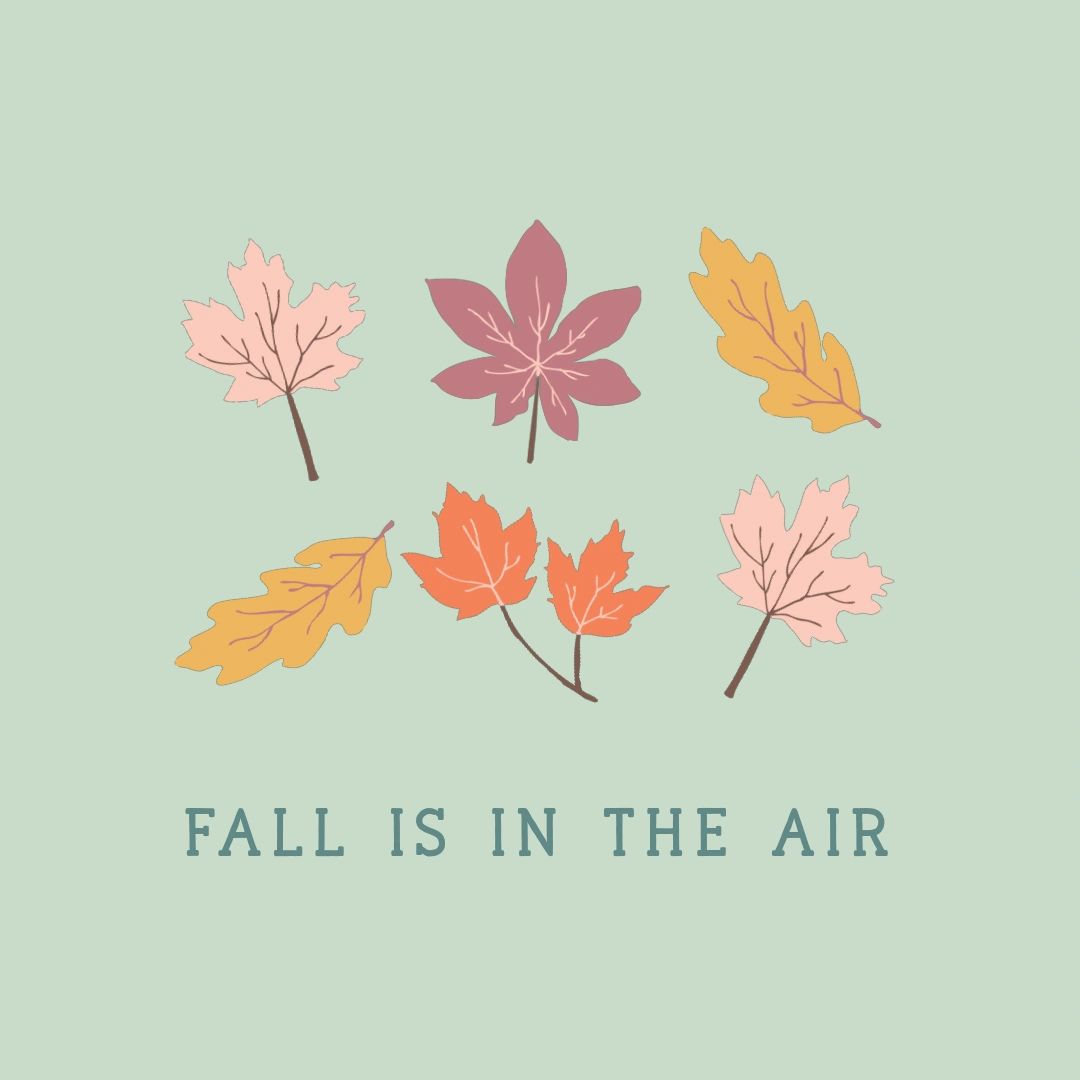 Slippery Slope Soap Co - Handmade Soap, Natural Ingredients