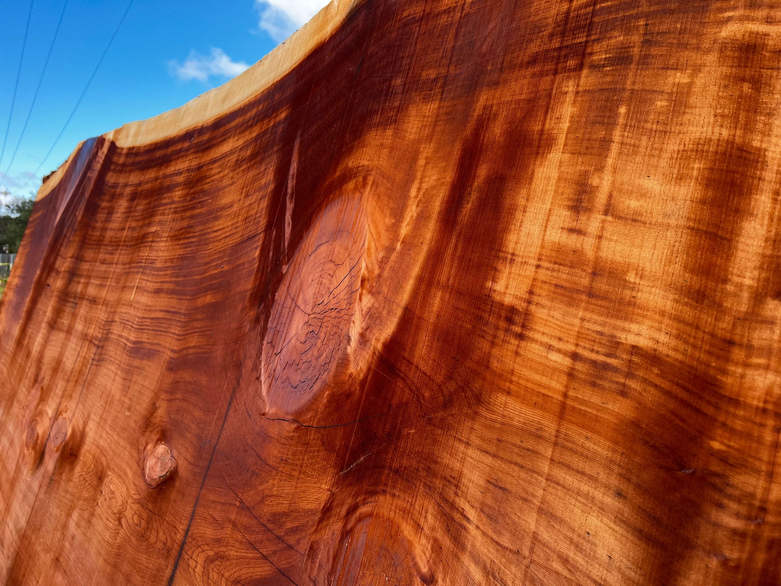 What Is Old-Growth Wood (and Why It Matters)?