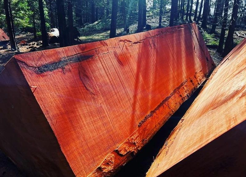 Old Growth Lumber Co