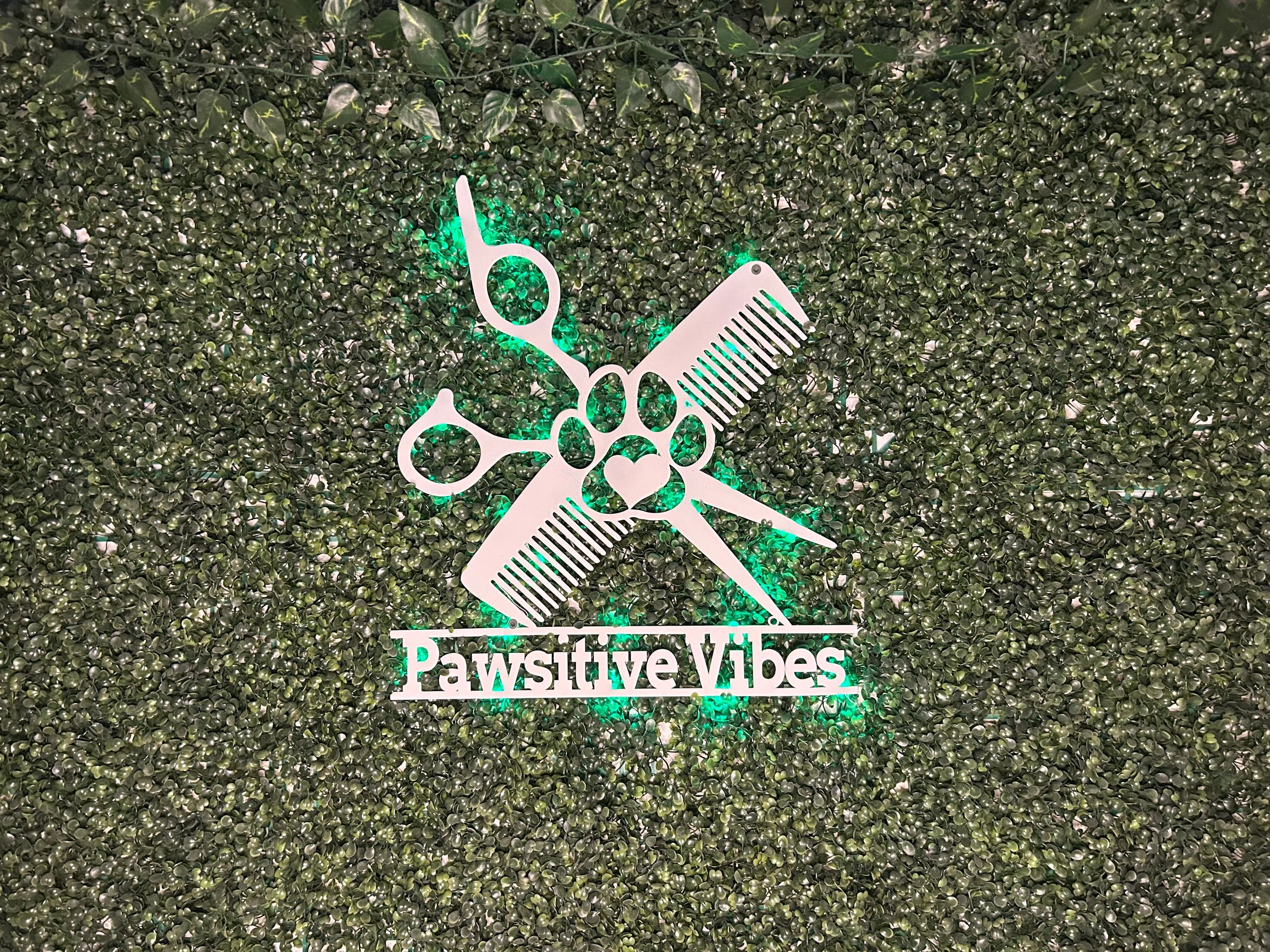 Dog Grooming Services - Pawsitive Vibes Grooming Salon LLC.