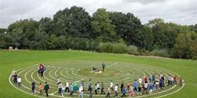 Institute Noetic Sciences