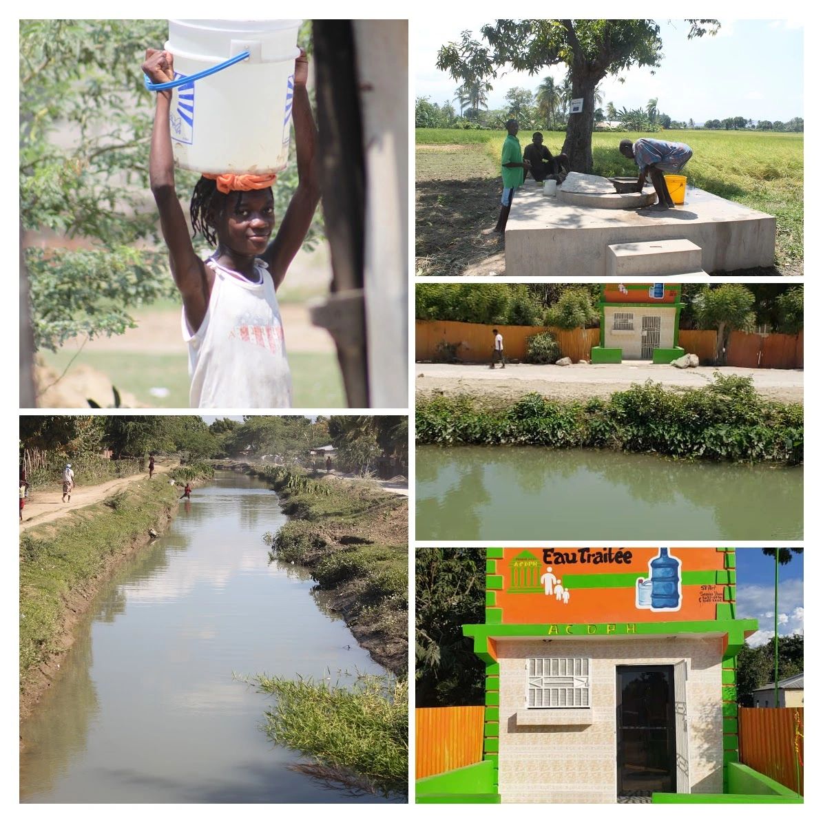 Building Paran one stone at a time