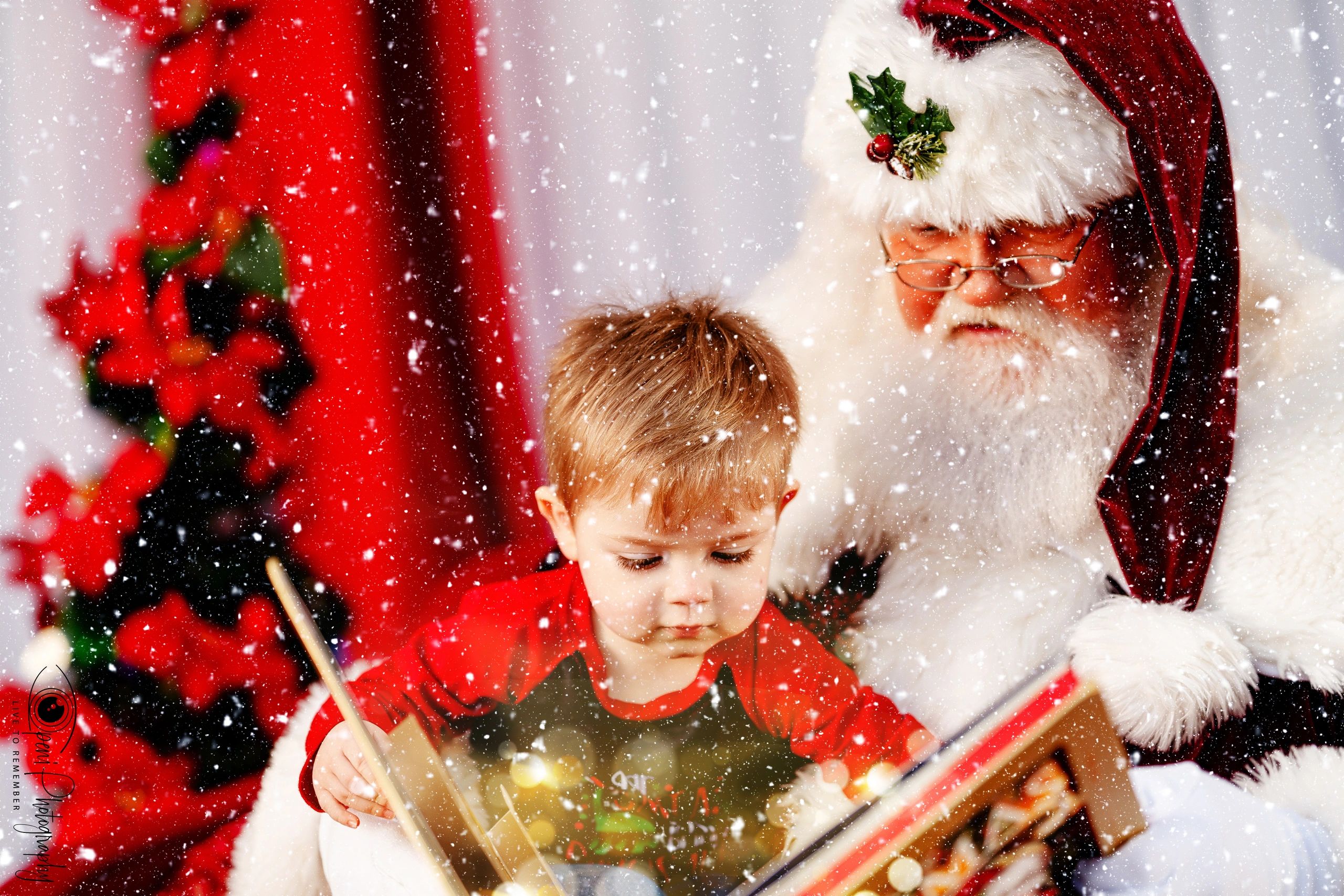 Jolly Ole Elf, LLC - Jolly Ole Elf, LLC, Pricing