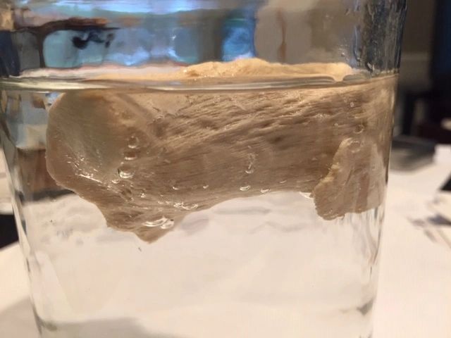 3D Printing, Biocompatible Materials, Bone Models - FibreTuff