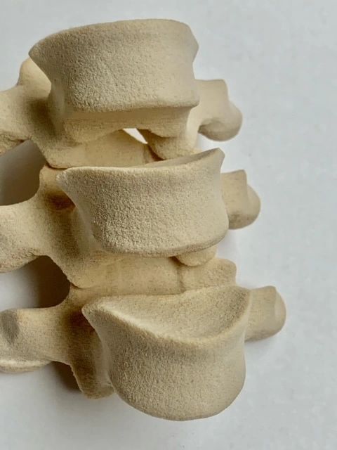 Filament, Bone, Radio Density - FibreTuff
