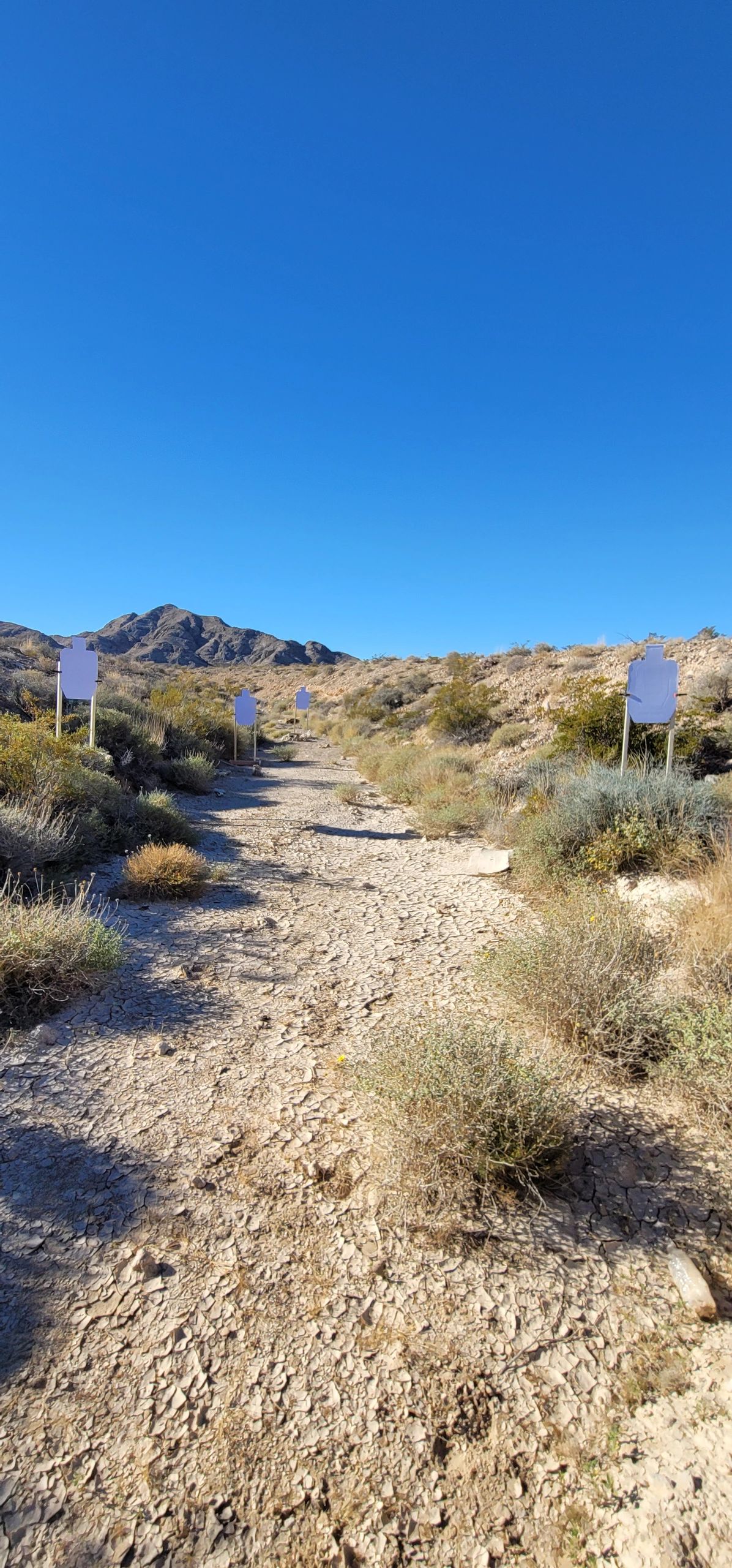 Affordable Target Systems