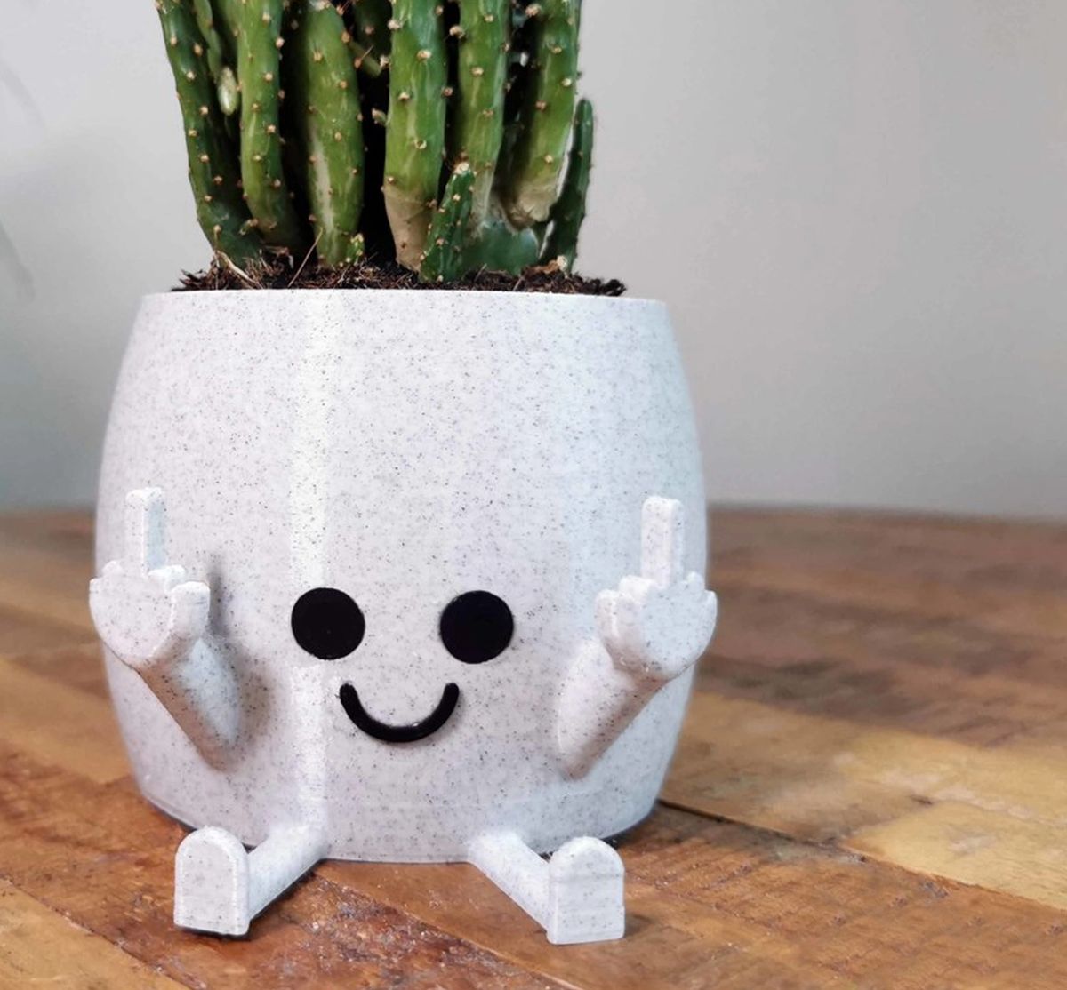 Middle Finger Planter