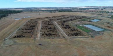 Cattle Feedlots | BCF Concreting solutions Pty Ltd
