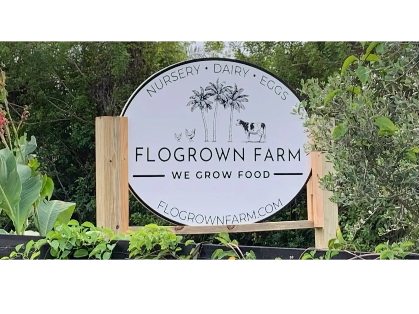 Premium Fruit Trees at FloGrown Farm Nursery