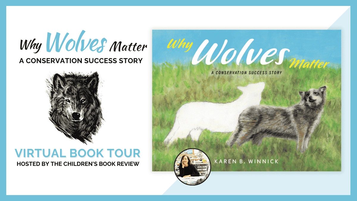 Why Wolves Matter: A fantastic conservation success story!