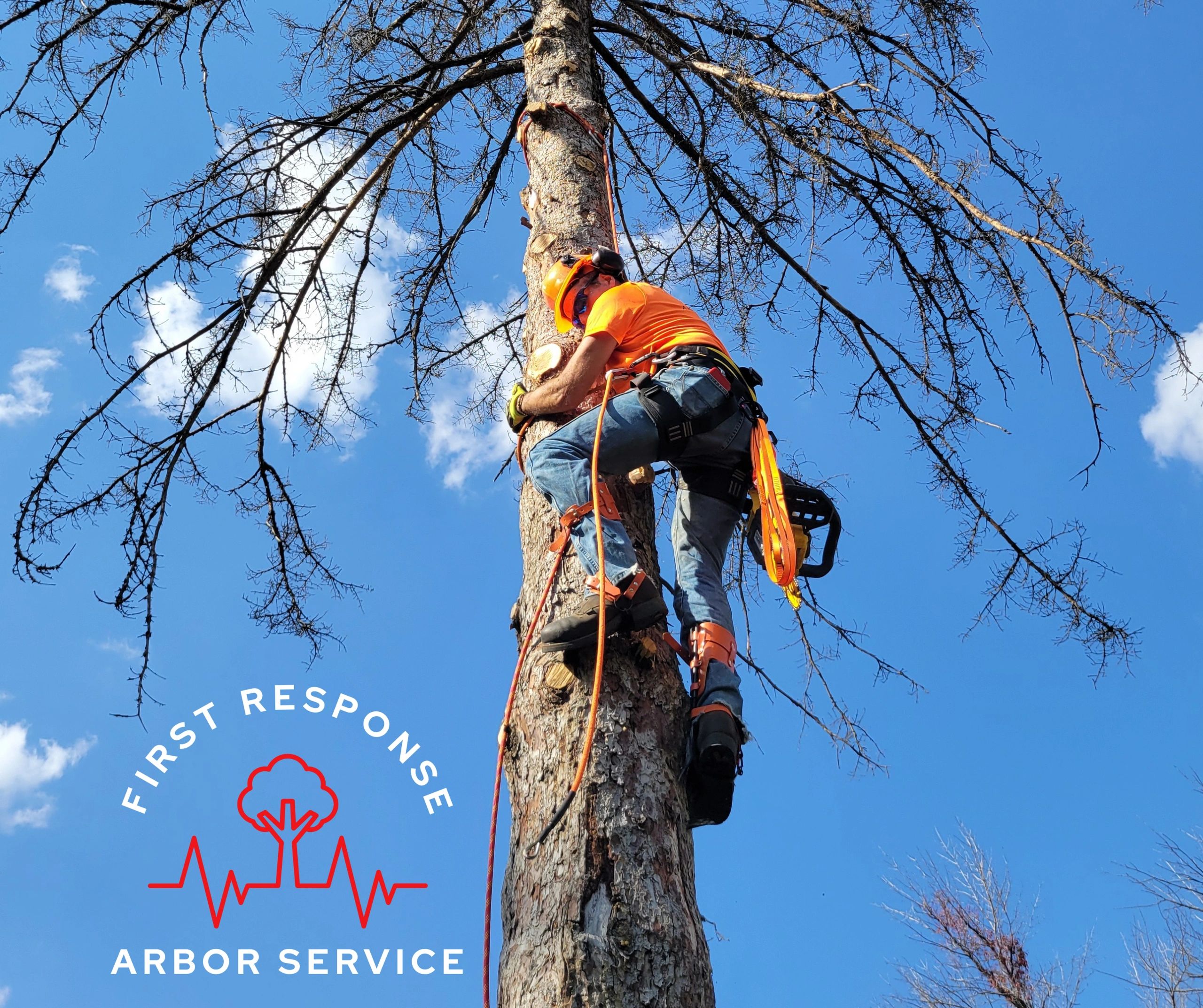 First Response Arbor Service