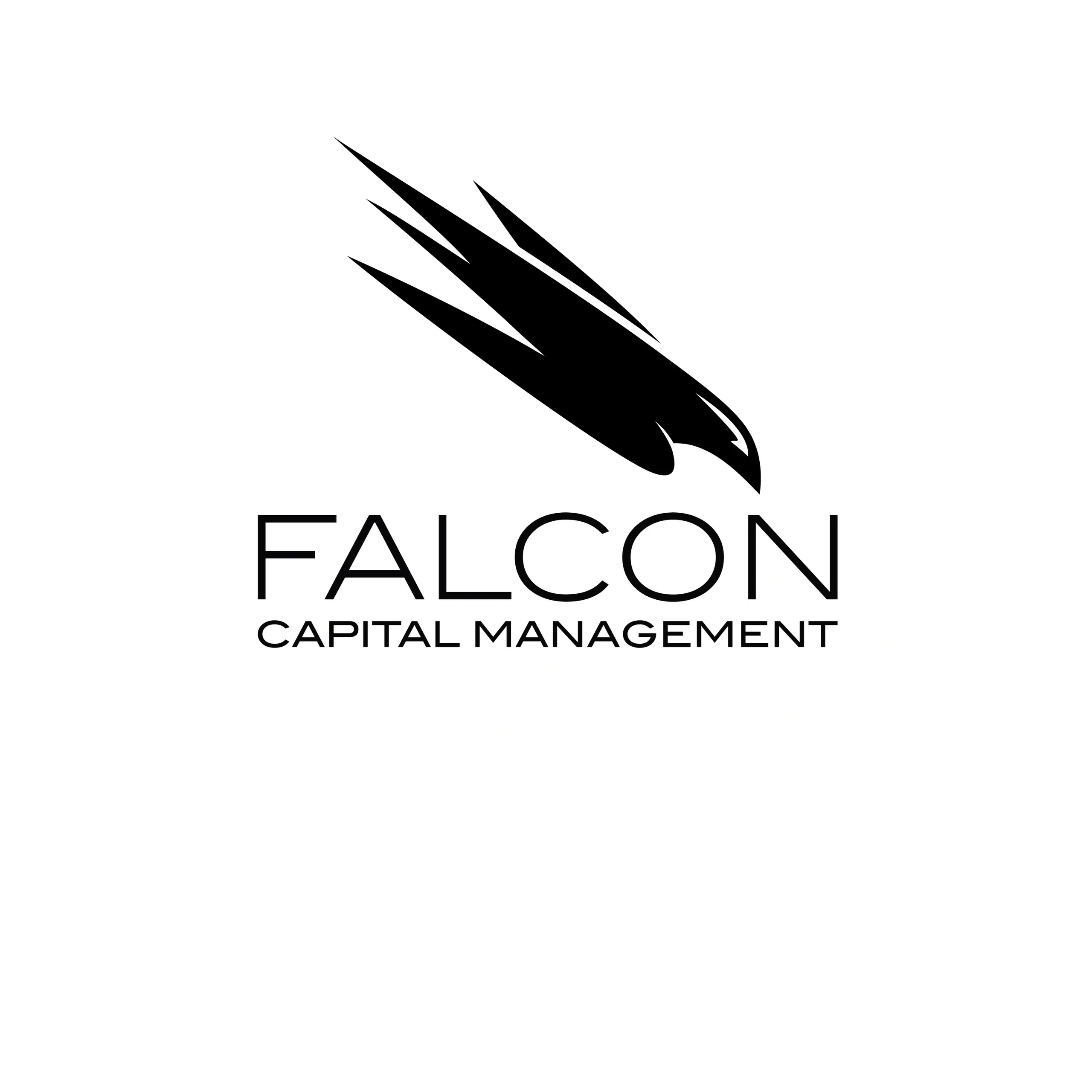 Falcon Capital Management