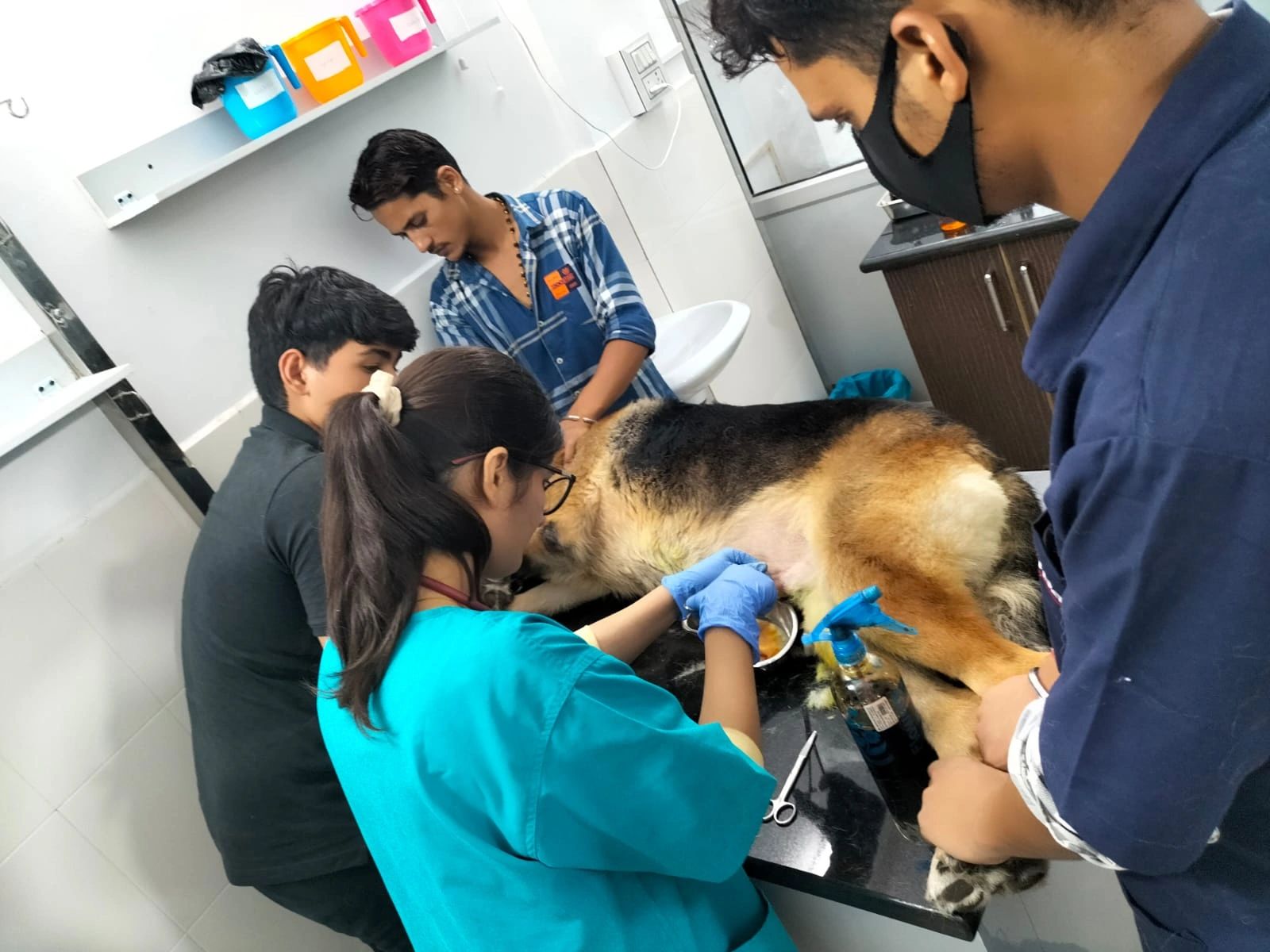 PET+ Complete Veterinary Care & PET Dermatology Centre