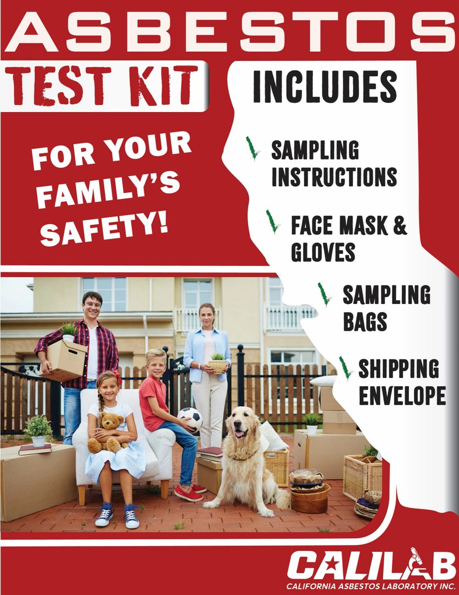 DIY Asbestos Test Kit - 3 Day Results