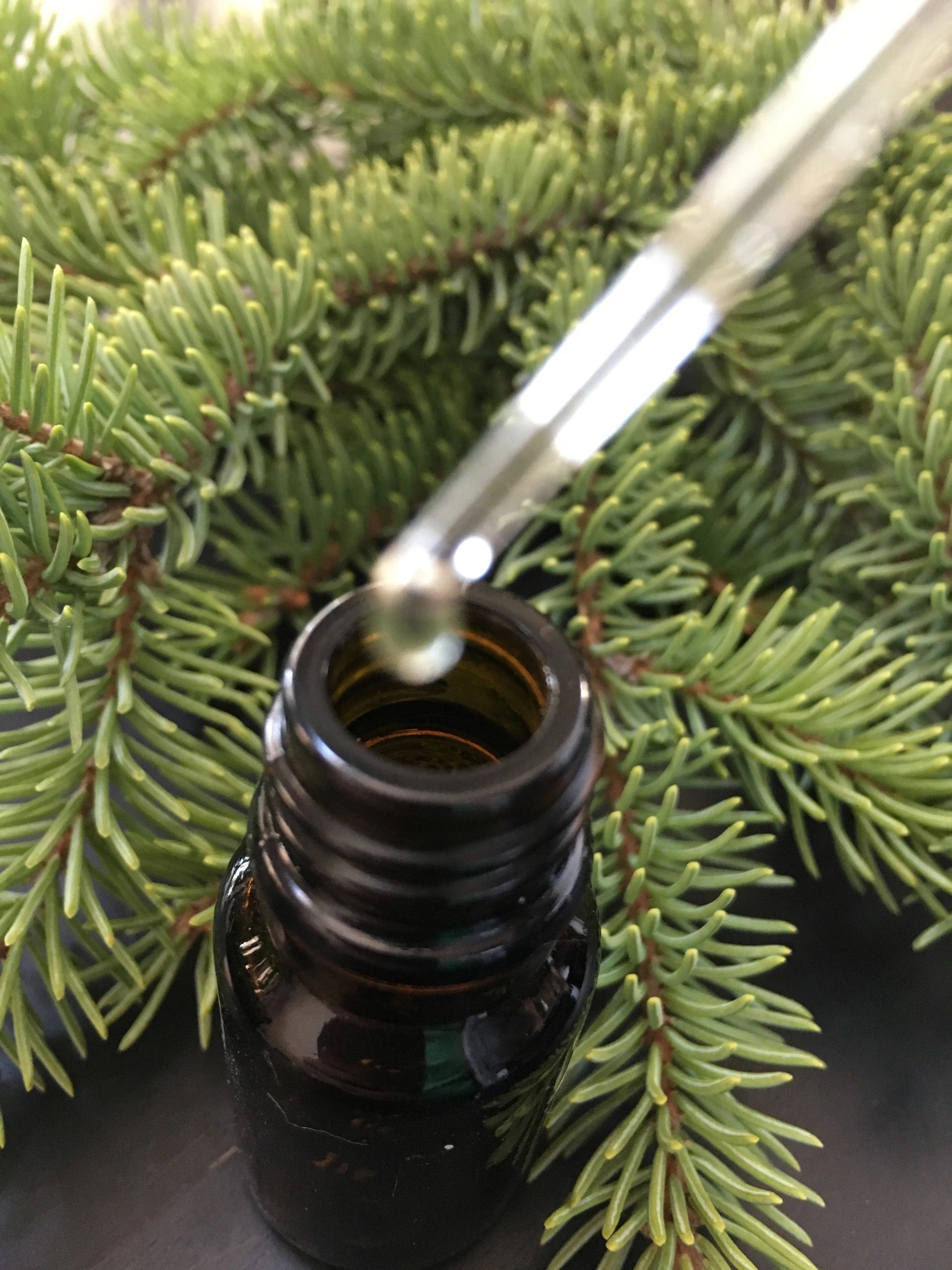 Wild Alaska Oils LLC - Essential Oils, Spruce