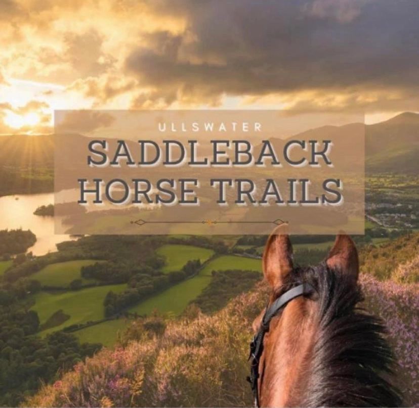 Horse Riding, Horses - Ullswater Saddleback Horse Trails