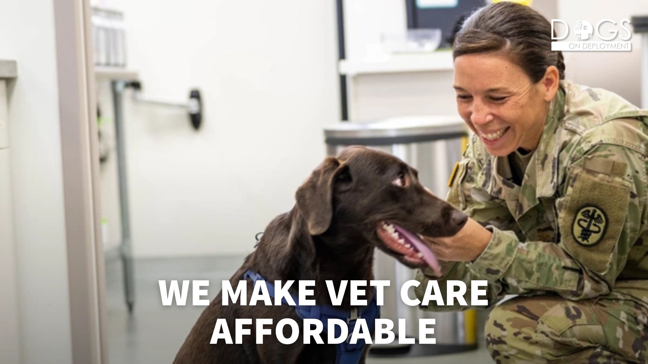 How the Veterinary Assistance Program Works with Locals Vets