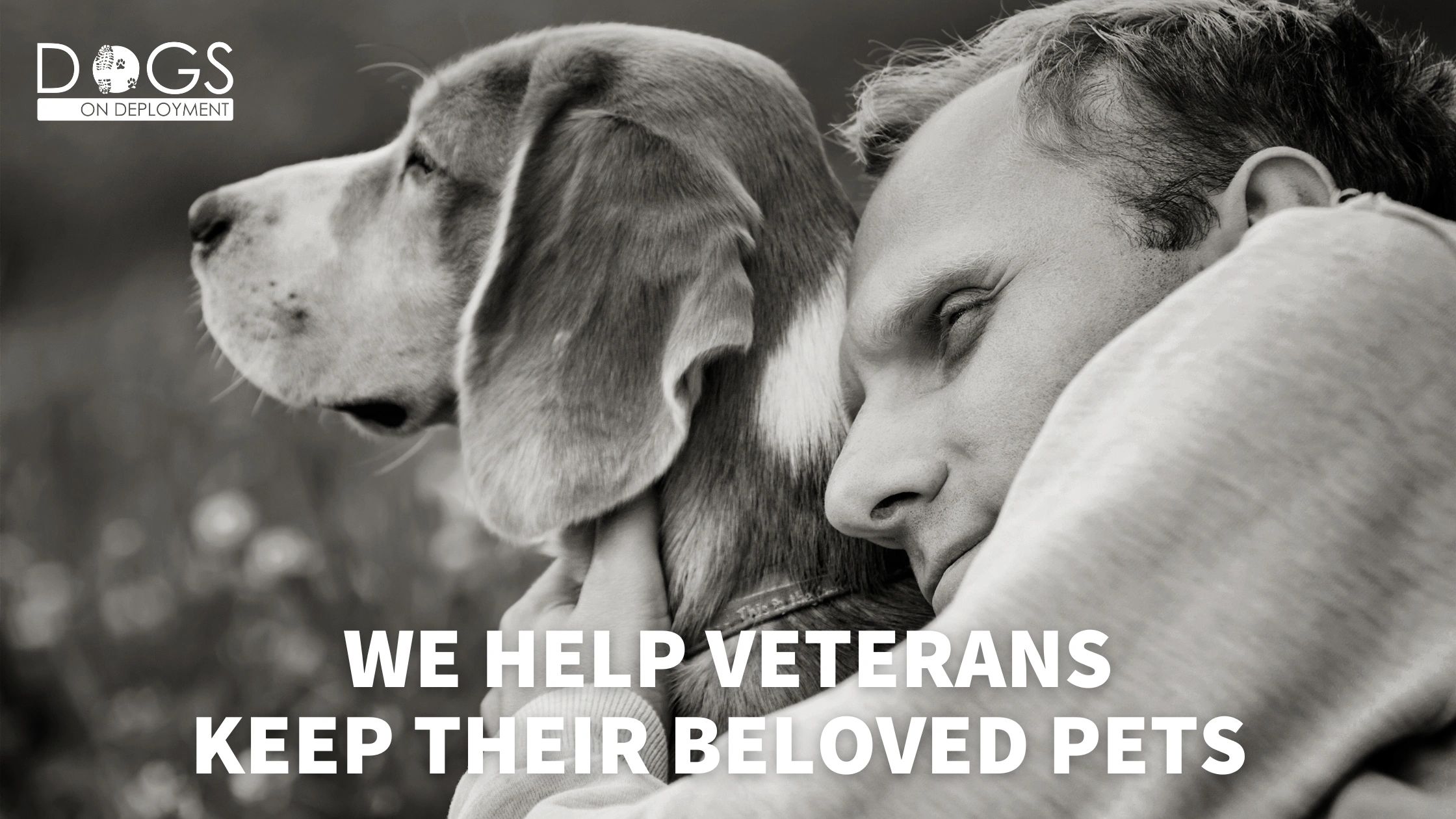 How Dogs on Deployment Supports Veterans and Their Pets