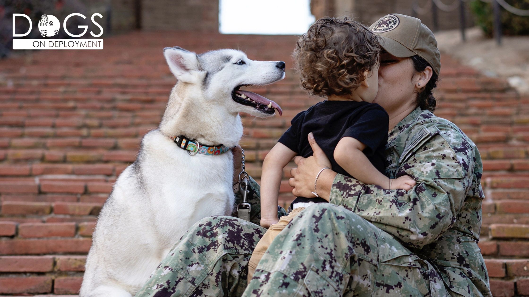 Supporting Our Military Families: The Invaluable Role of Pets