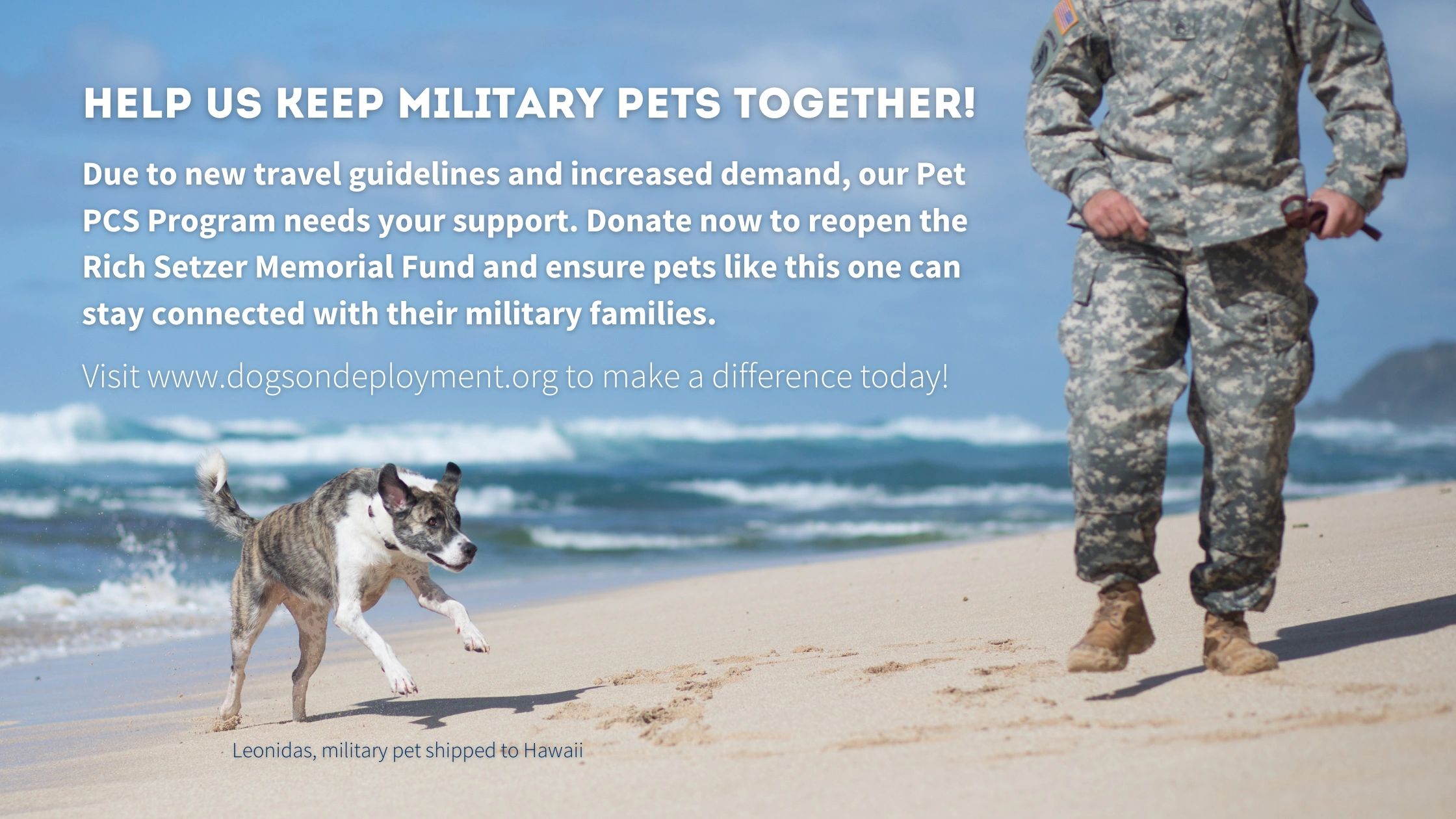 Facing CDC Changes, DoD Urges Early Pet Relocation Planning