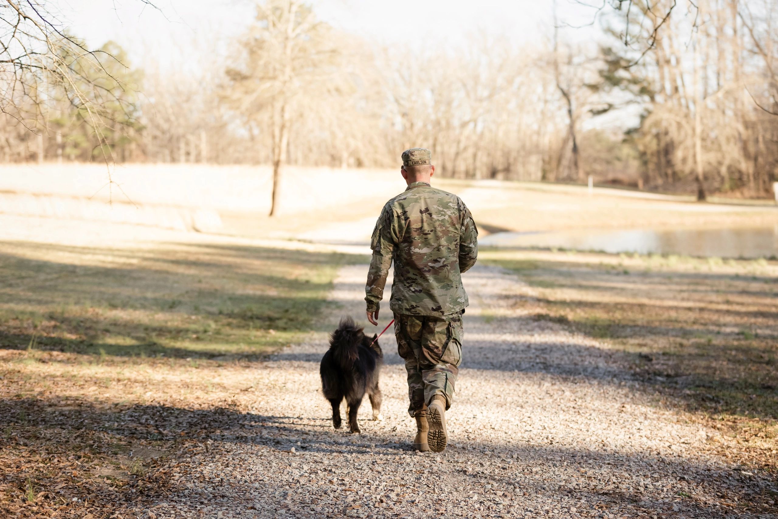 Find Reliable Dog Boarders for Deployed Military Personnel