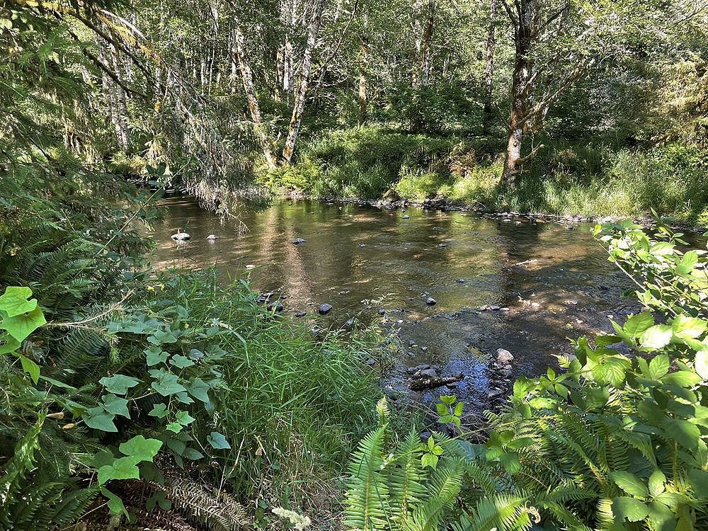 Experience the Best RV Park and Campground at Camper Cove