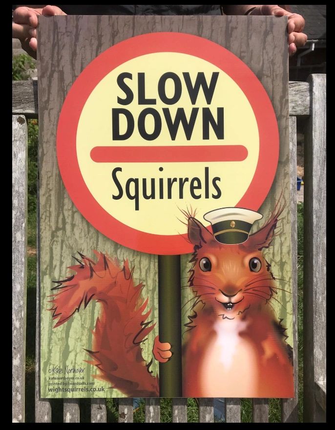Red Squirrel Road Sign Lollipop