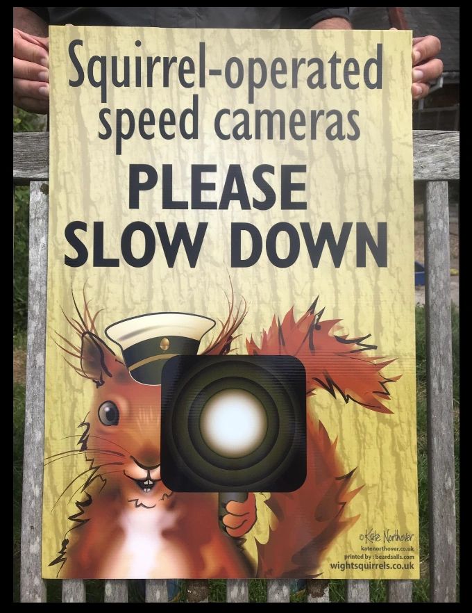 Red Squirrel Road Sign Speed Cam