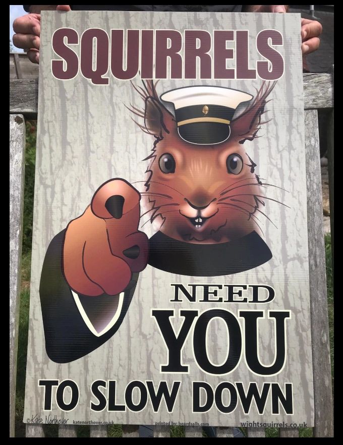 Red Squirrel Road Sign Lord Kitchener