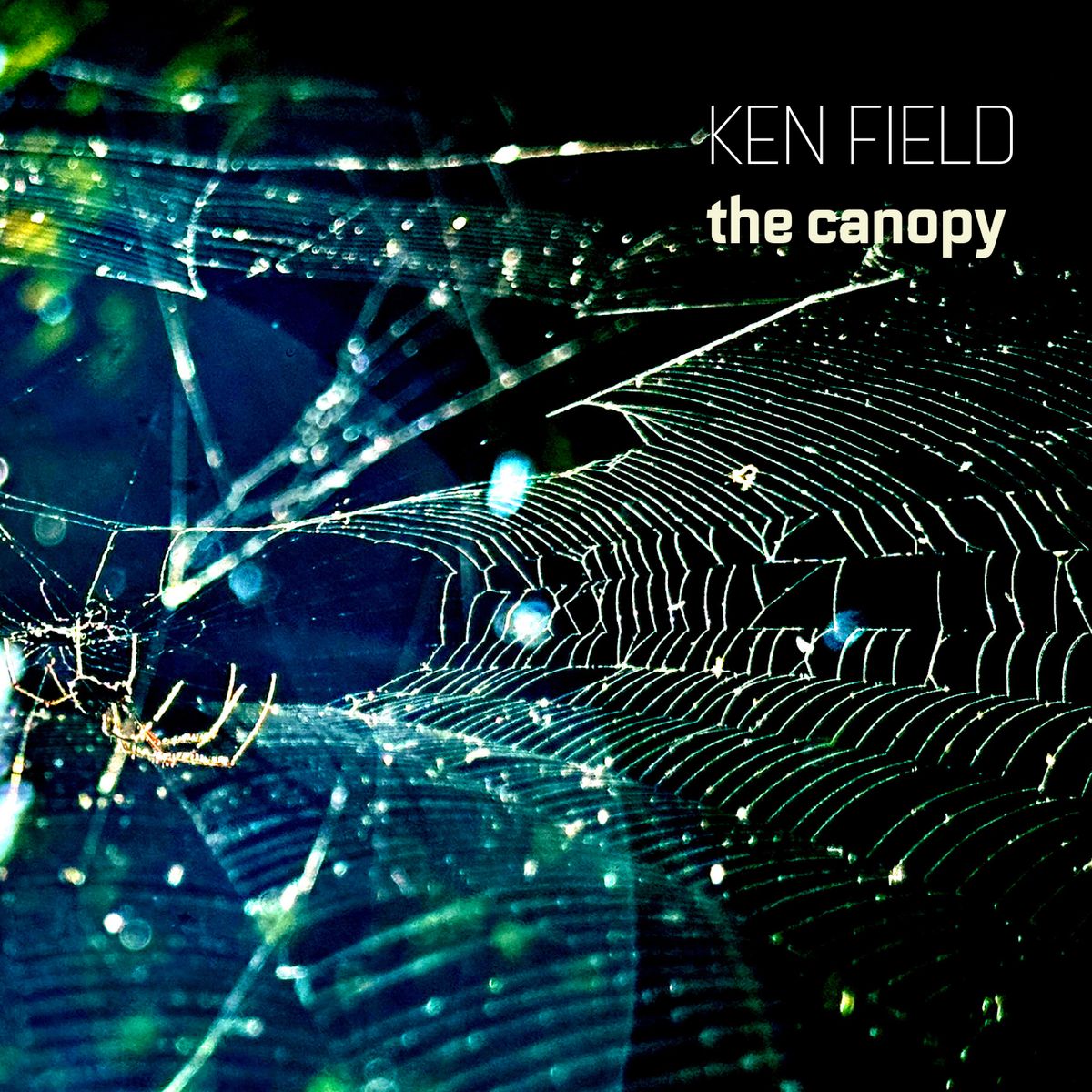 Ken Field: The Canopy