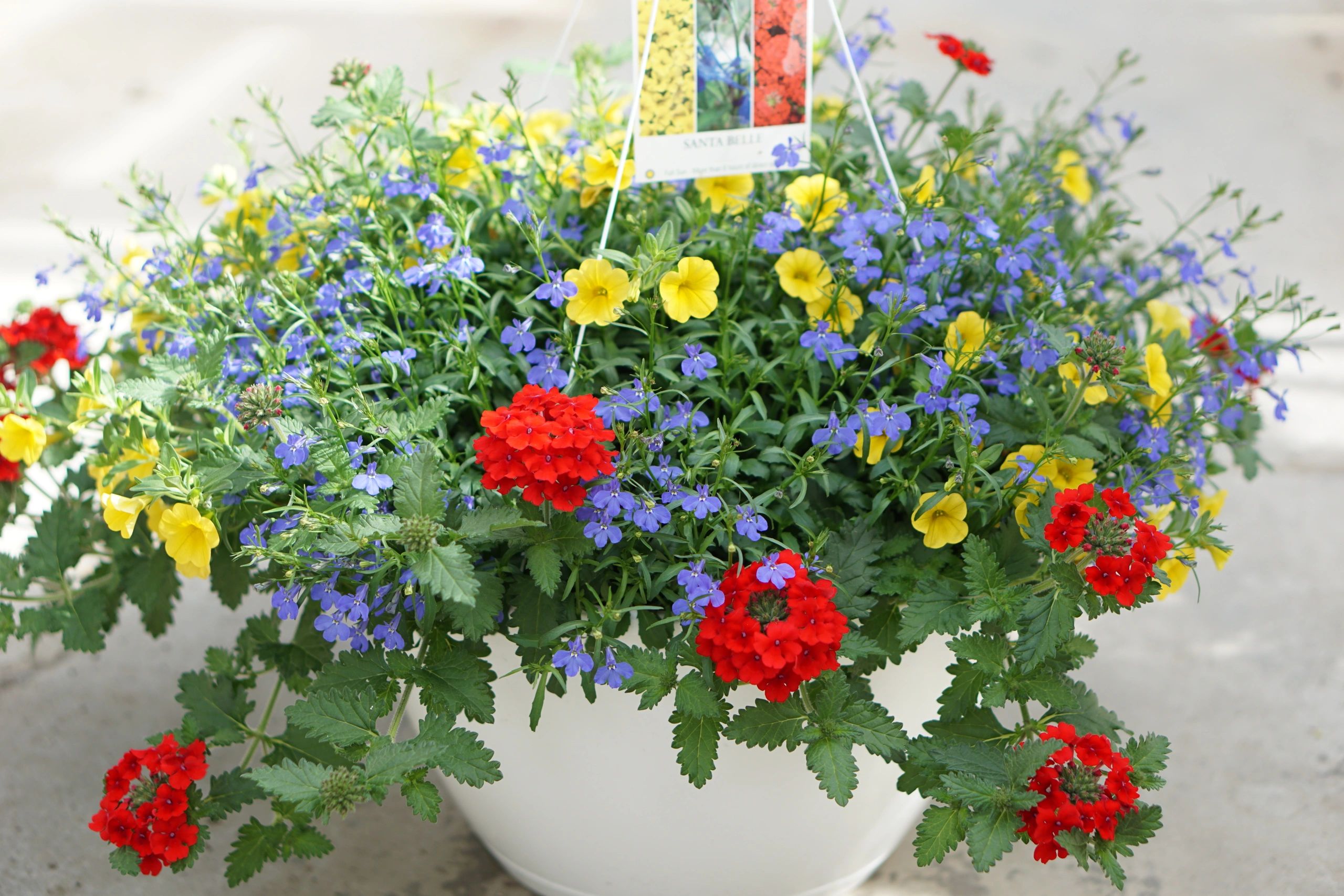 How To Create Stunning Planter Combinations