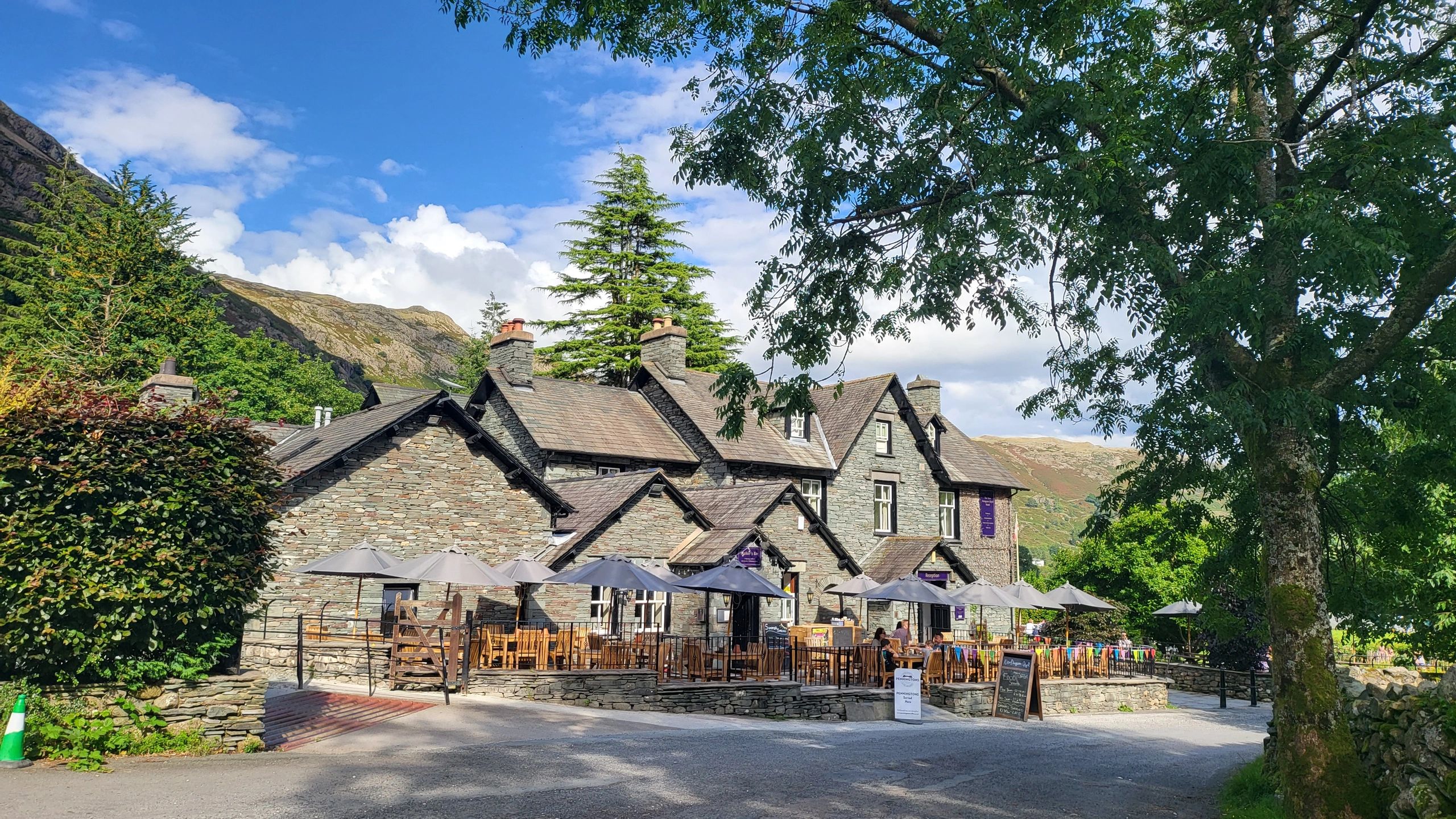 She Wolf Photography