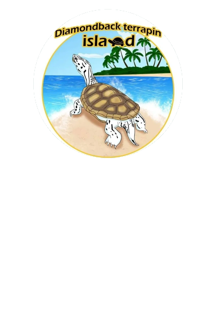 Diamondback Terrapins - Diamondbackterrapinisland.com